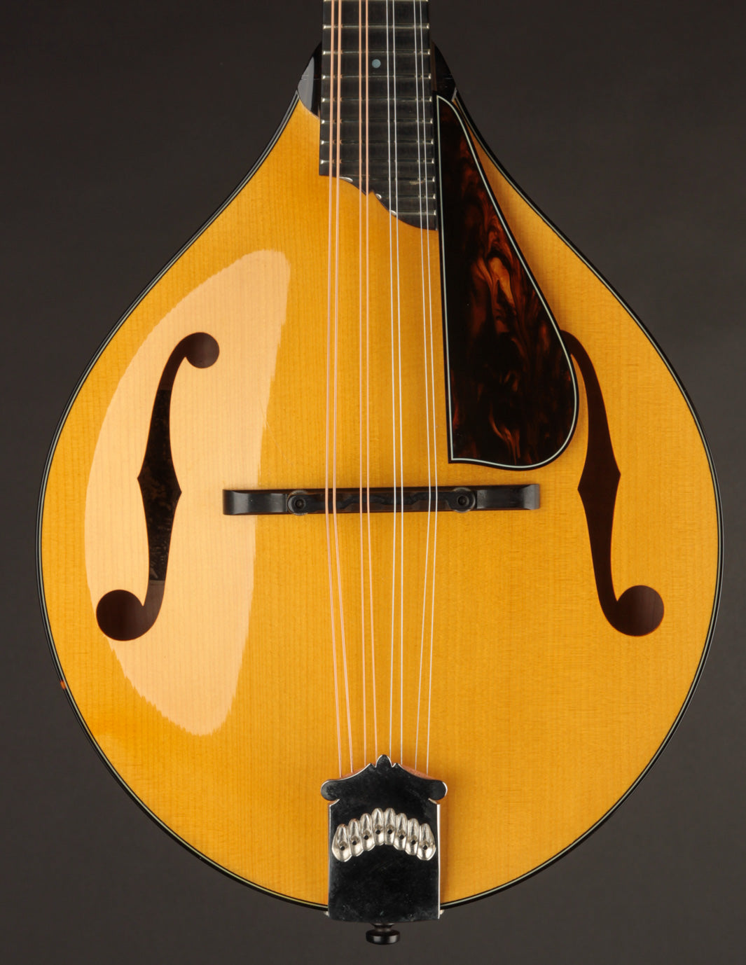 Collings MT2 Honey Amber w/ Tortoise Guard, USED, 2018 | The Music Emporium