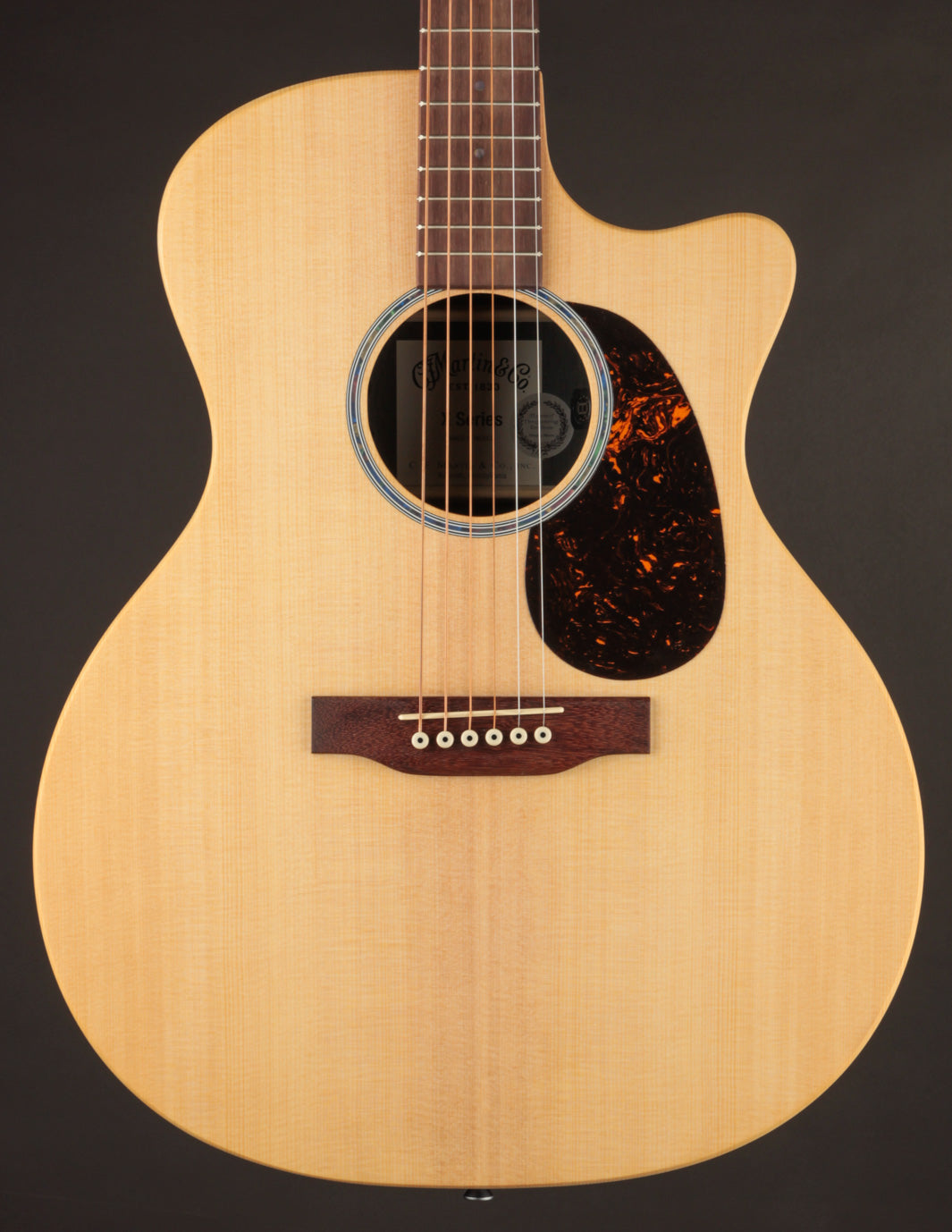 Martin GPC-X2E Cocobolo | The Music Emporium